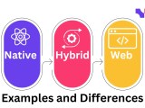 Native Vs Hybrid Vs Web Apps The Big Differences You Missed